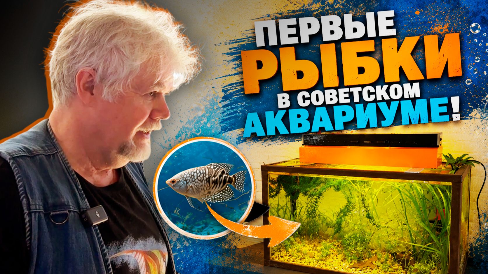 Запускаем рыбок в аквариум из СССР! | Аквариумные истории из ЭКЗОМЕНЮ №180