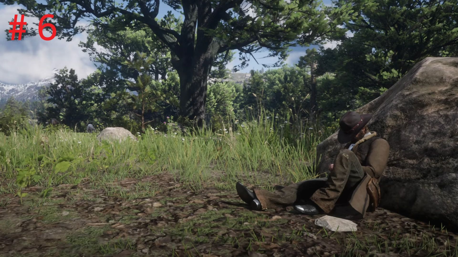 Red Dead Redemption 2 # 6