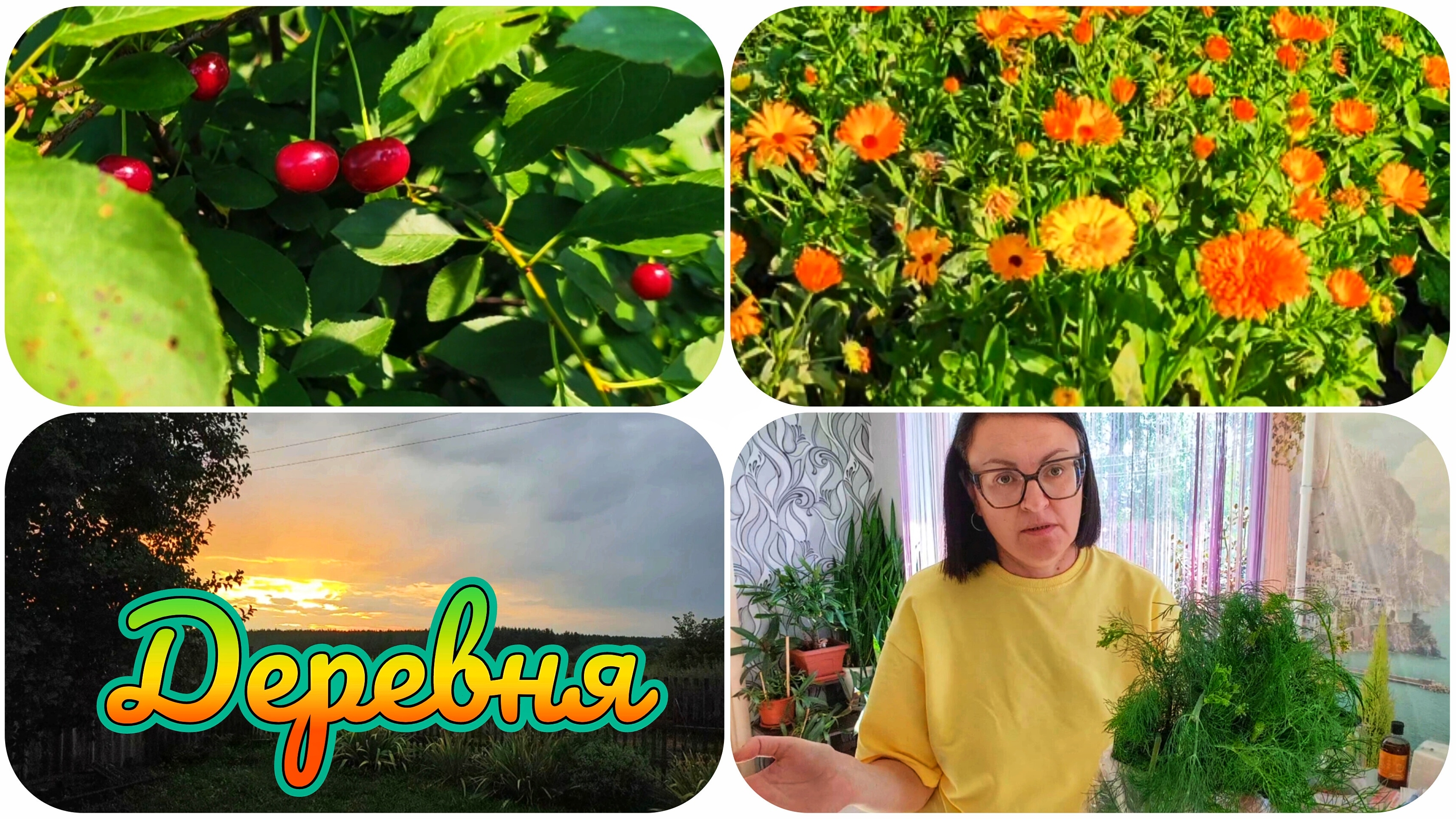 ДЕРЕВЕНСКИЙ ВЛОГ 🏡🌳 ДОЖДЬ ☔ ОПЯТЬ 🌧️ МЕШАЕТ ПЛАНАМ 🥺