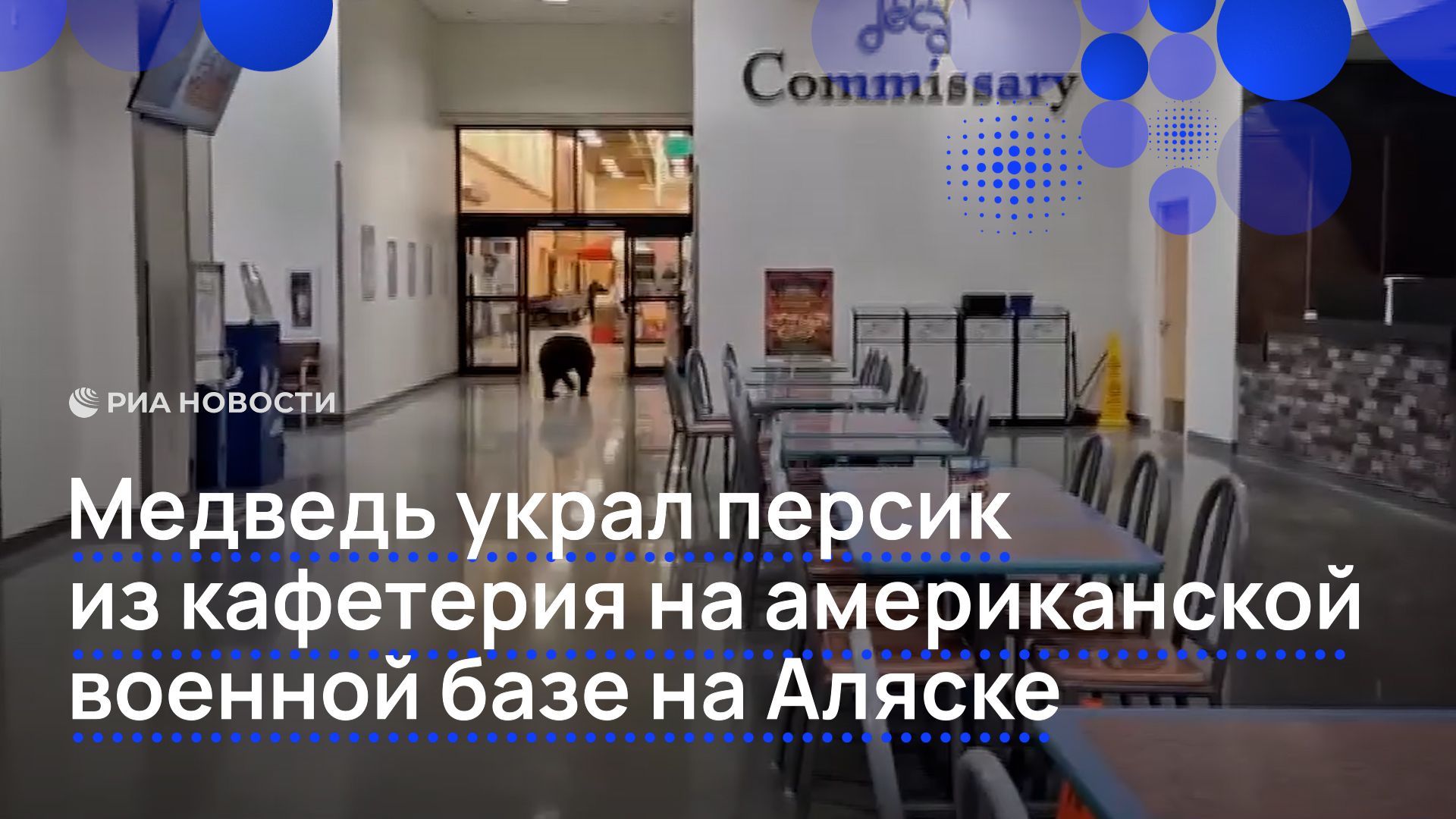 Медведь украл персик из кафетерия на американской военной базе на Аляске