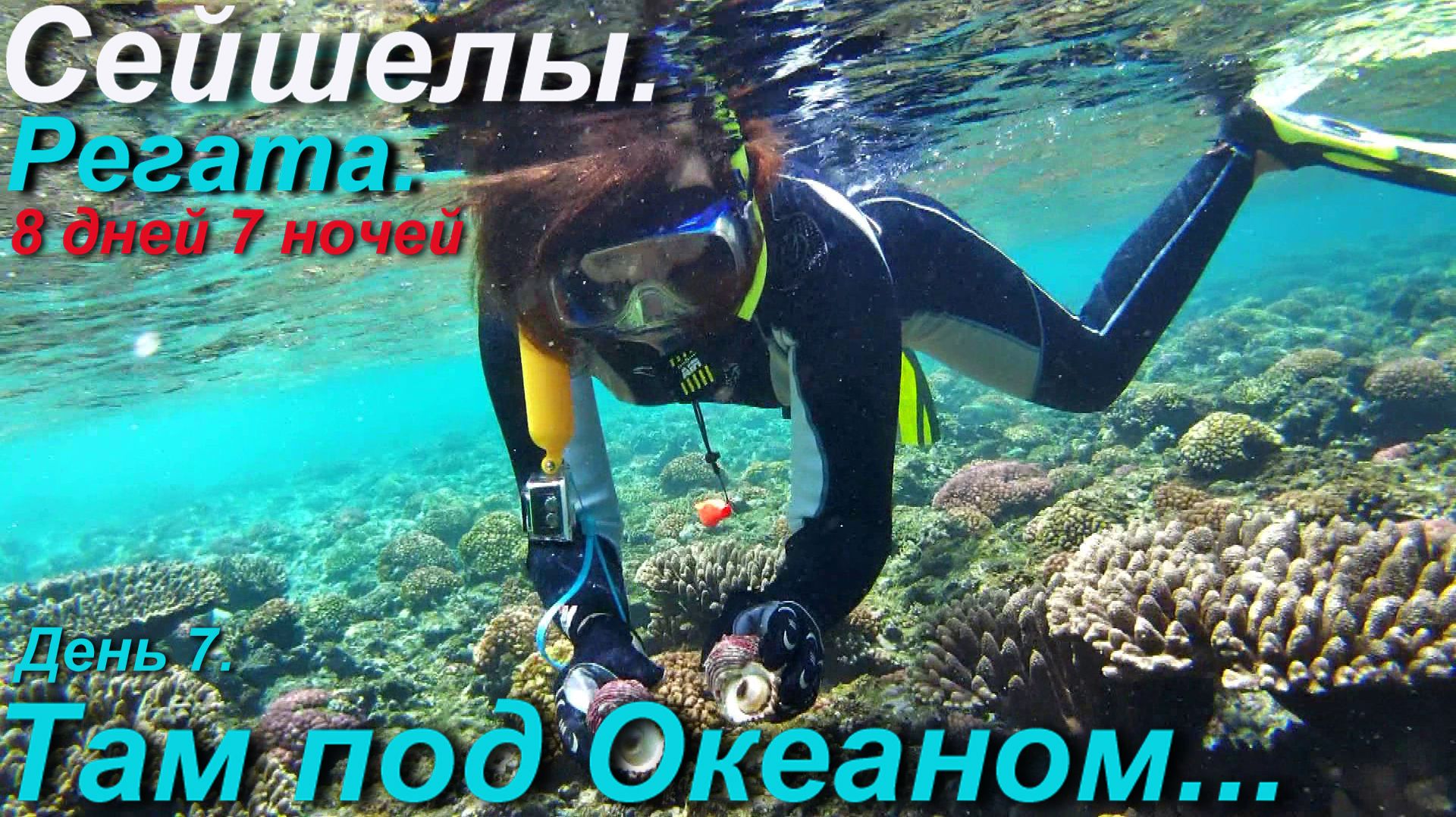 Сейшельская регата. Коралловые сады Гранд Сёр. (День 7)