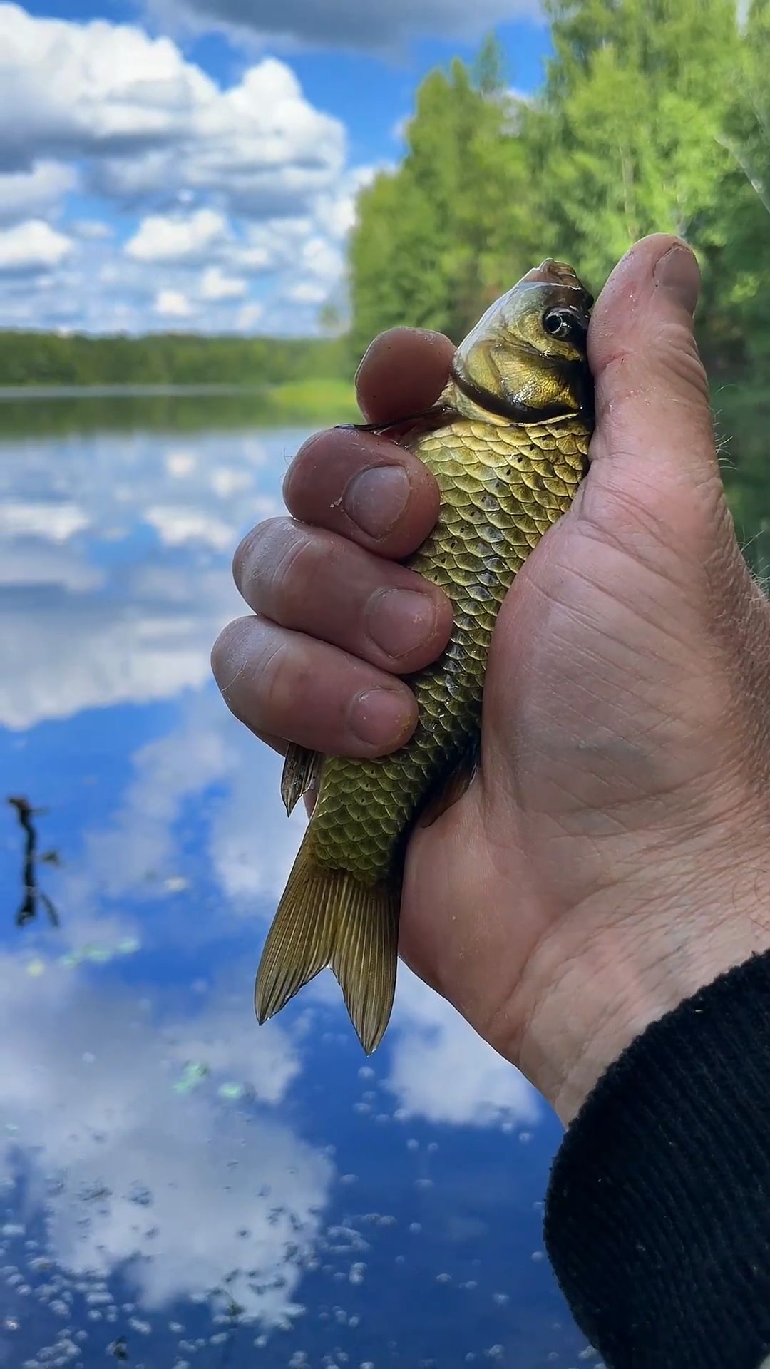 Жизненное