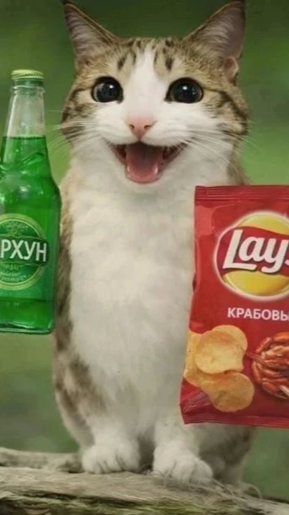 Вова ган