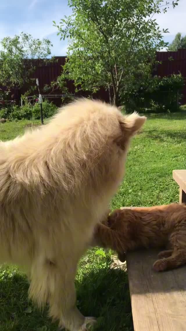 Альфушке не мешай ❗️❤️❤️❤️