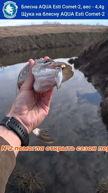 Щука на блесну AQUA Esti Comet-2. Первый выезд со спиннингом удался  #рыбалка  #fishing