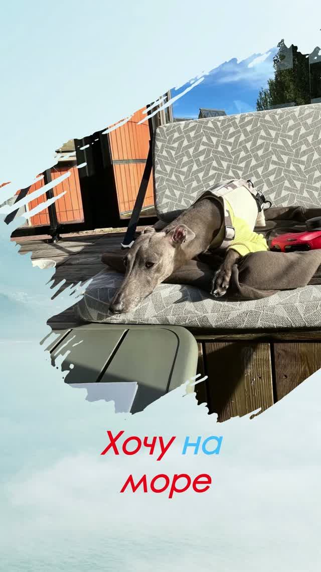 ПО ЩУЧЬЕМУ ВЕЛЕНИЮ...