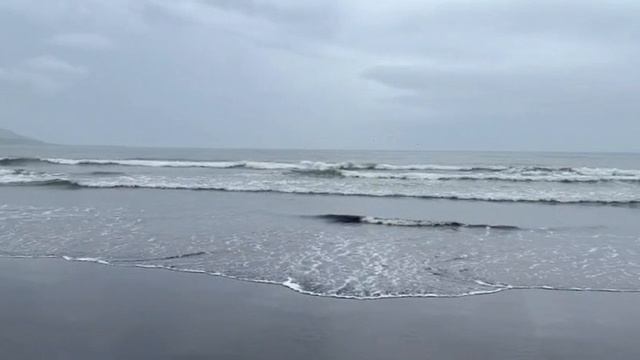 Путешествия