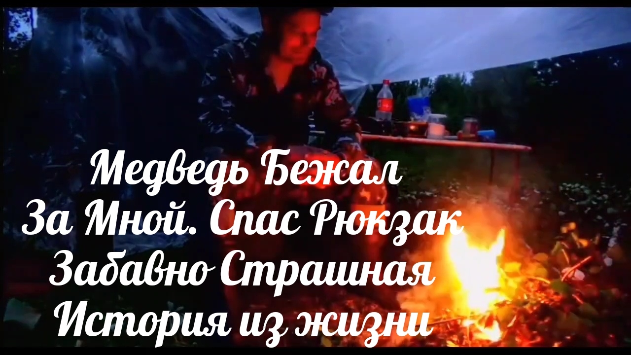 Охота Медведя на Меня, или забавно страшная история из жизни.