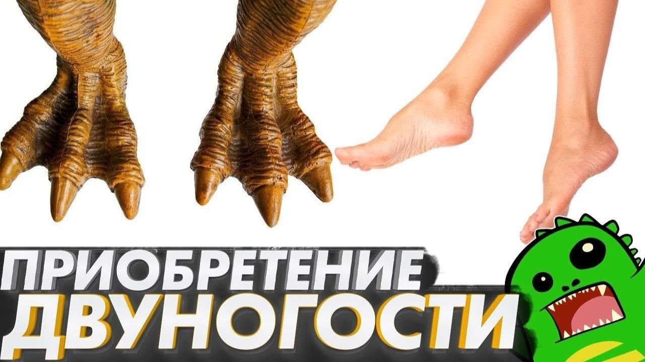 Эволюция двуногости： человек и динозавры feat Александр Соколов [ПОДКАСТ]