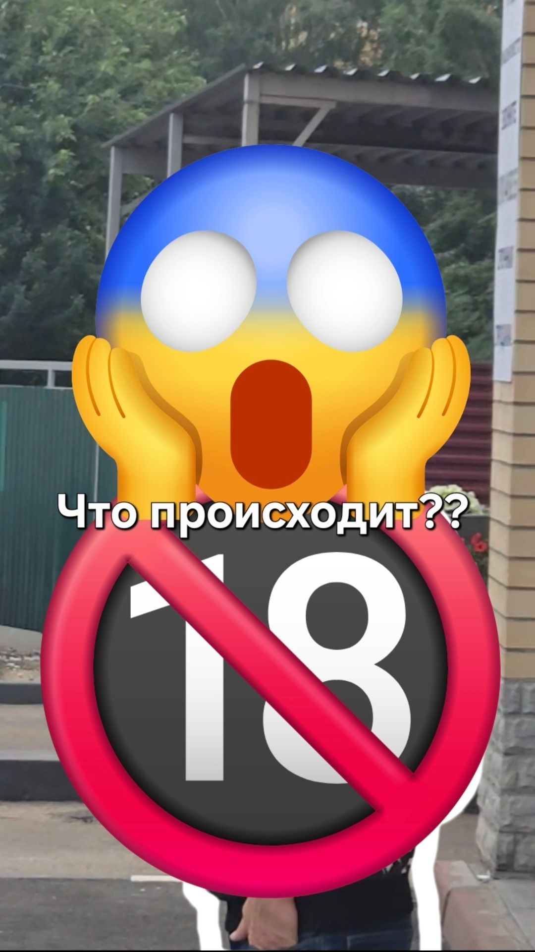 Спорт. Кикбоксинг