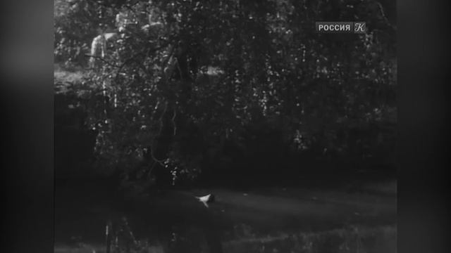 Кащей бесмертный. Сказка как символ надежды Детская Студия Тележурналистики "Панорама+" Алтайский