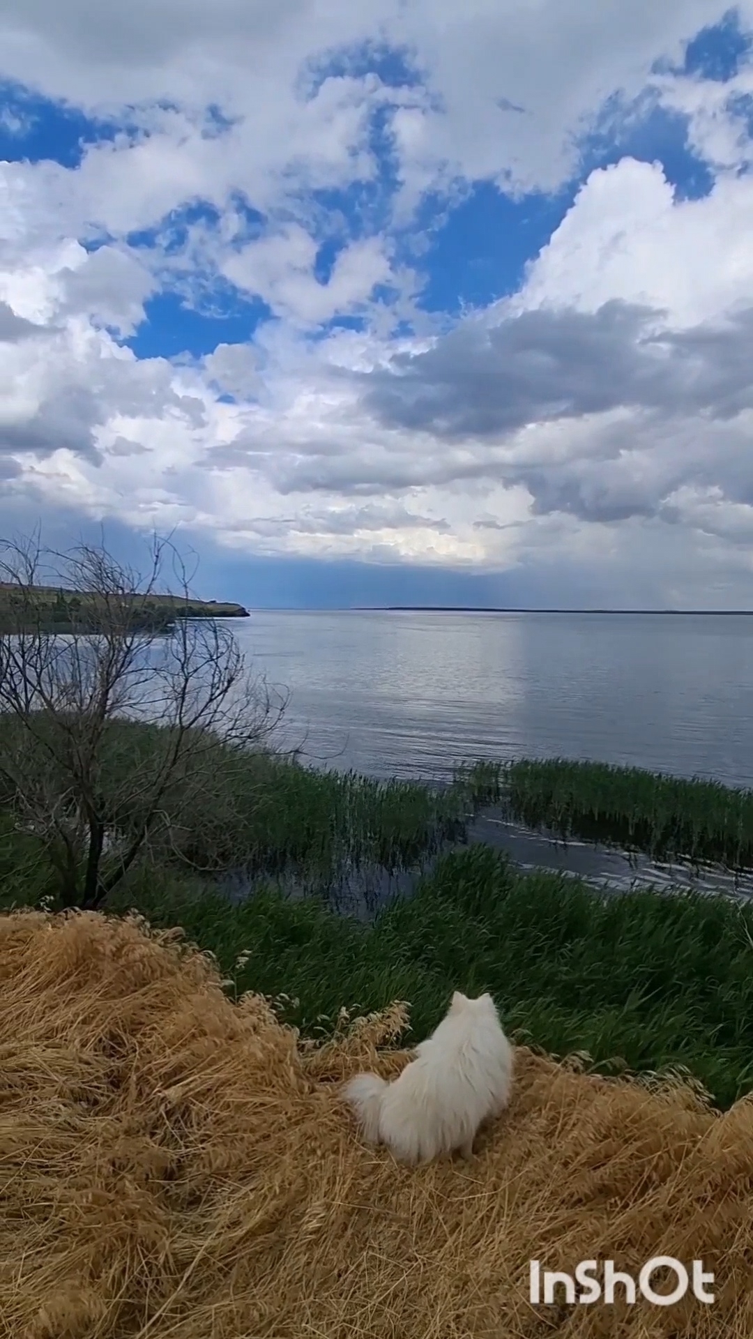 Здесь даже воздух кажется особенным🥹Тихая красота родных мест❤️
Край, который всегда зовёт обратно