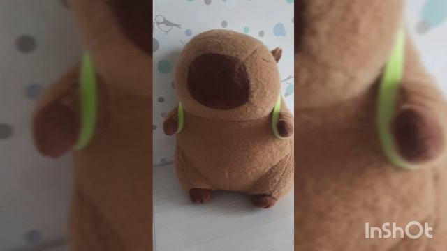 капибары застряли на занятии часть 1