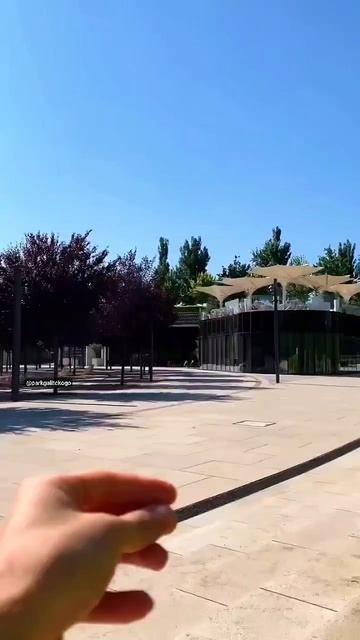 Парк Галицкого Краснодар