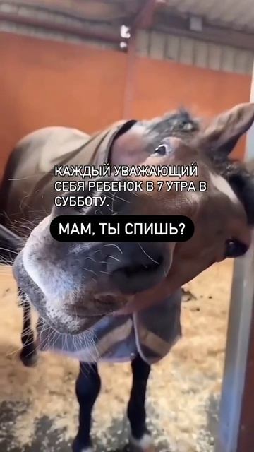 Развлечения