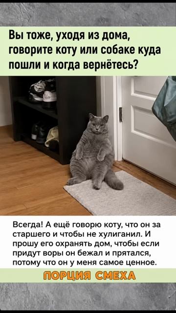 Вы тоже уходят из дома говорите коту юмор мем смешнойшортс прикол