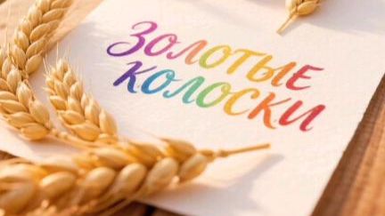 Золотые колоски 2 сл. Якушев Н. В. Муз. Suno. Видео Рахмади Л. Н.
