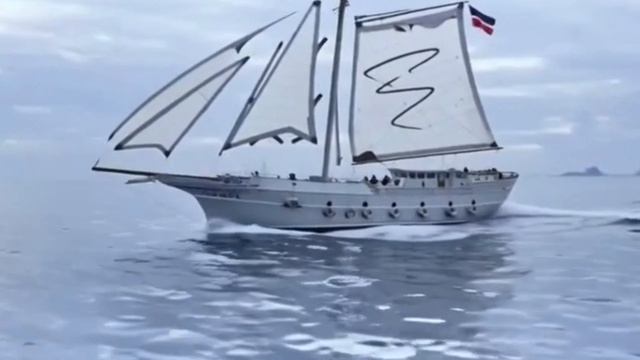 Короткие видео о Калининграде