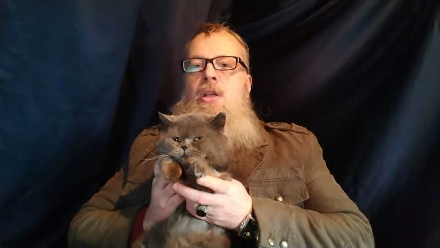 Демонстрирую кота Мартина