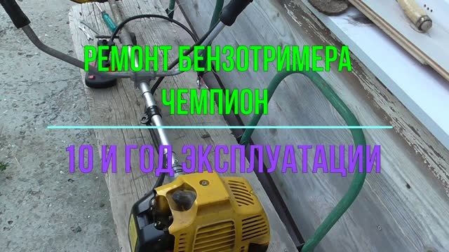 Чуток из моей жизни, тренинги, творчество