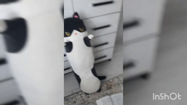 капибары застряли на занятии часть 2