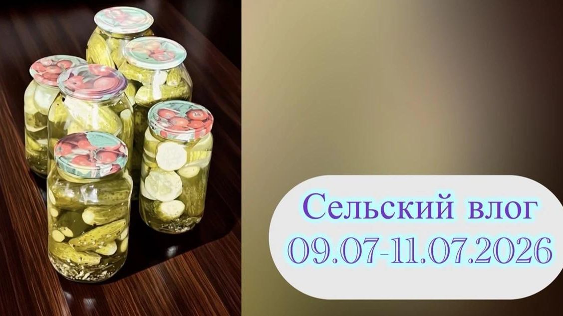 Влоги