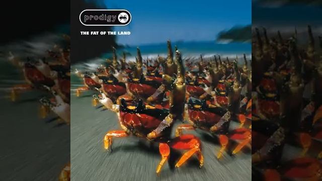 The Prodigy - Narayan