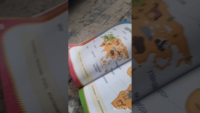 будни на пляже капибары часть 2