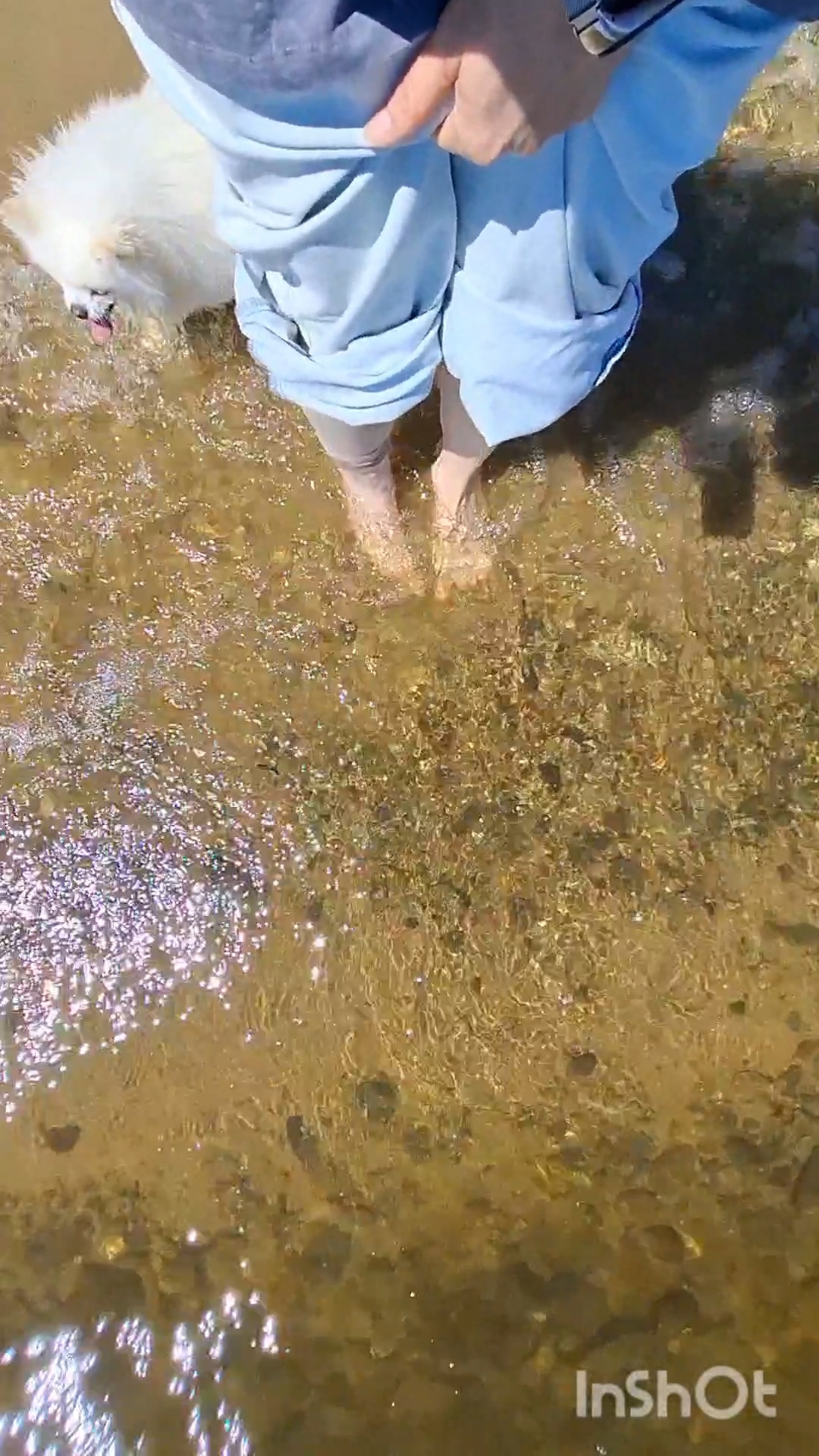 По воде босиком.. счастье🔥Там, где вода касается ног, рождается свобода #река #лето #босиком #кайф