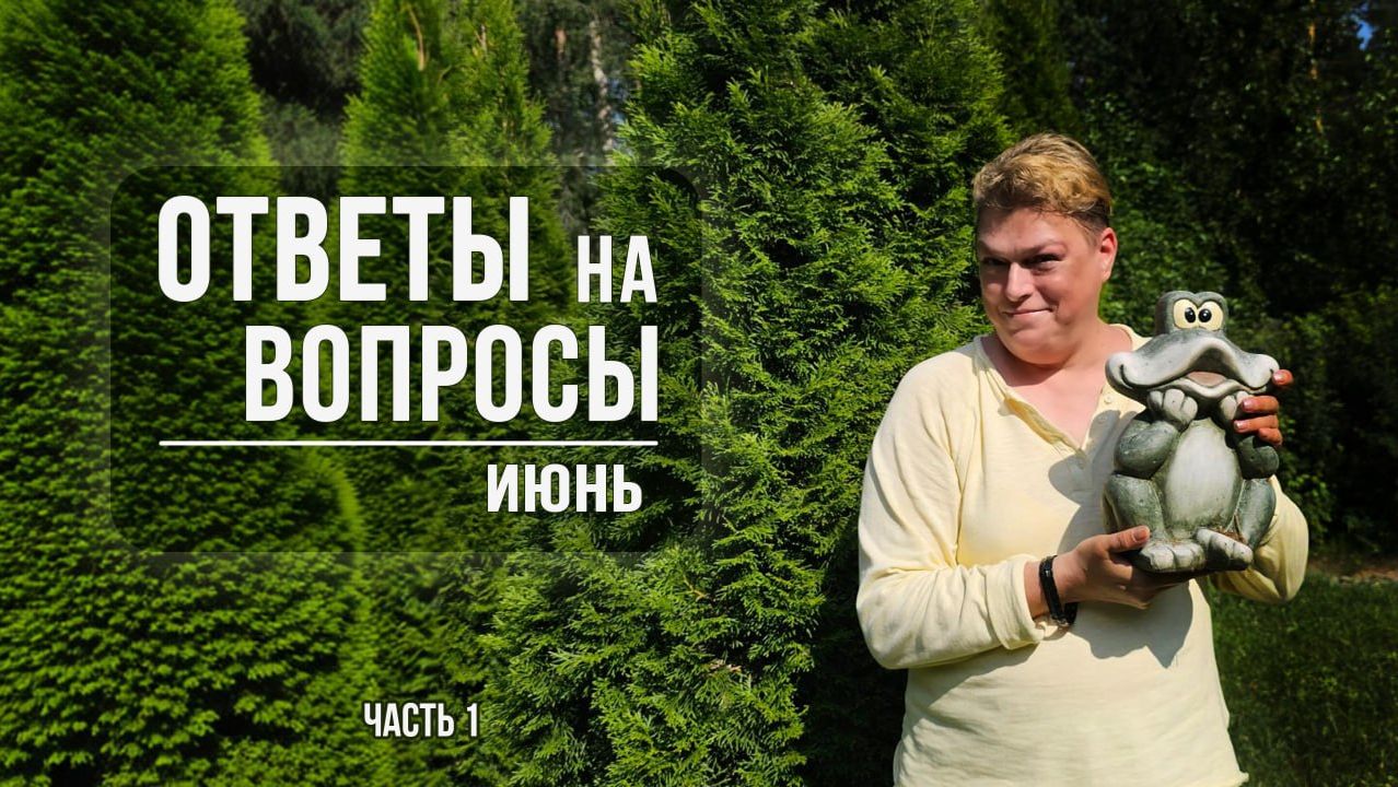Вопросы - ответы