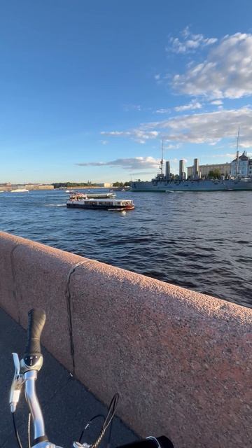 Шорты с прогулки