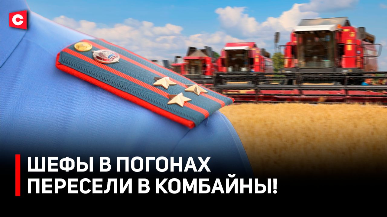 Милиционеры ЗА РУЛЕМ КОМБАЙНОВ! | Социальный эксперимент на полях | Белорусы взялись за уборочную