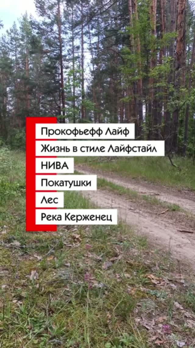 НИВА