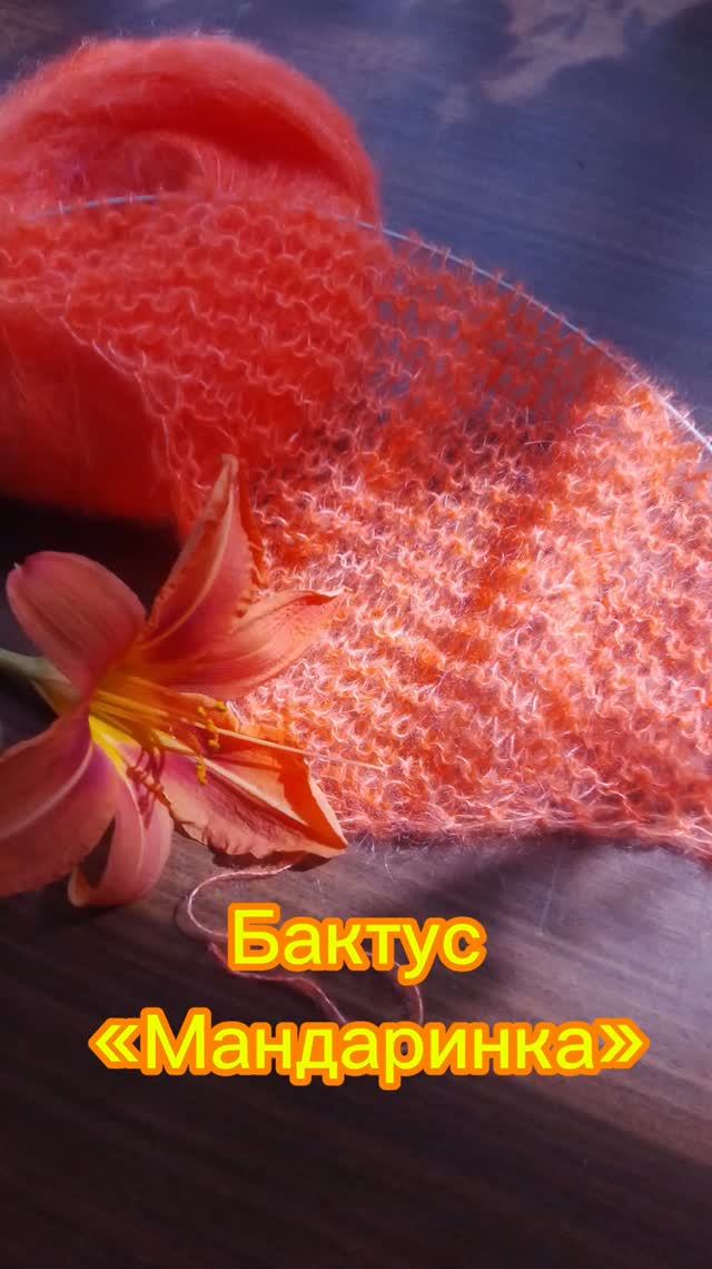 Бактус "Мандаринка"