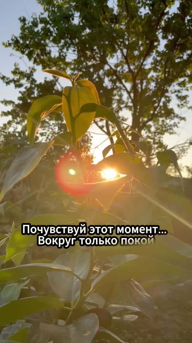 Релакс Shorts ✨ Моменты спокойствия