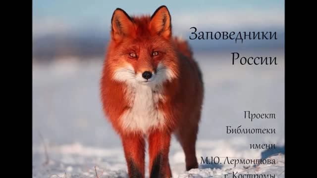 Природа, экология