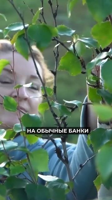 📍Цифровой век против древней оптики: почему современный фотограф выбрал банку
