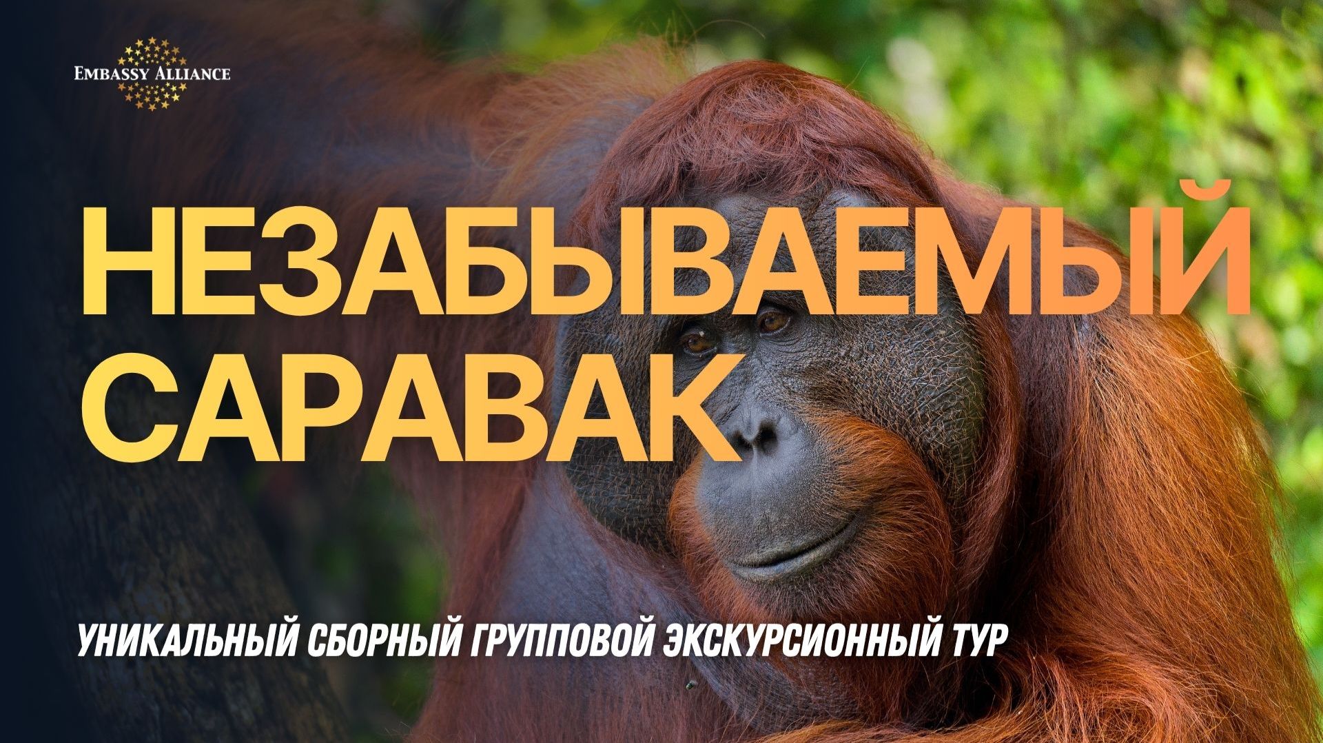 ЭКСКУРСИИ В МАЛАЙЗИИ