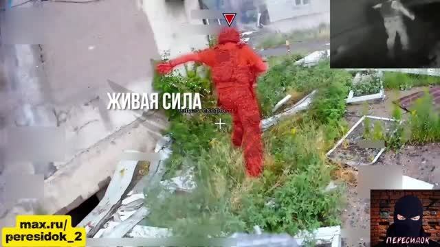 Беги, Тарас - беги