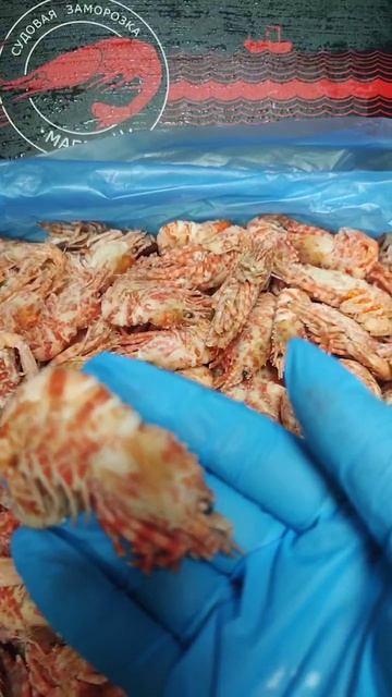 Креветка гренландская н/р в/м "Морской дракон" 70/90(коробка 5кг)