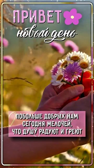 Привет новый день!
