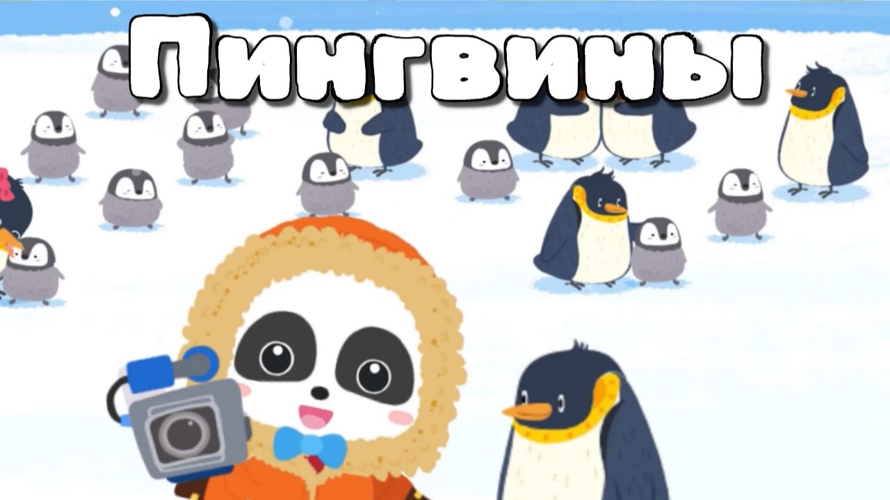 Игра "BabyBus. Пингвины. Детская познавательная игра. (бейбибас, панда Кики).