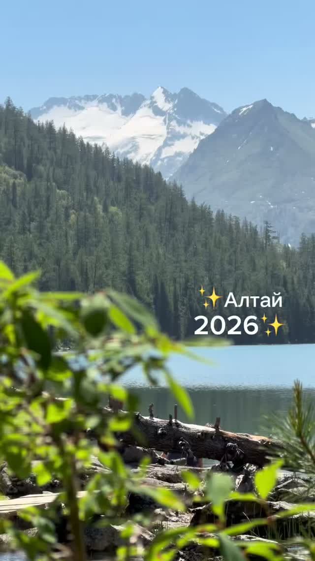 Путешествия