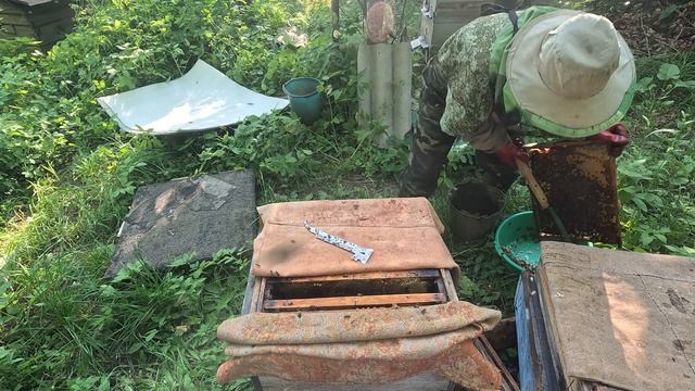 ПЧЕЛОВОДСТВО