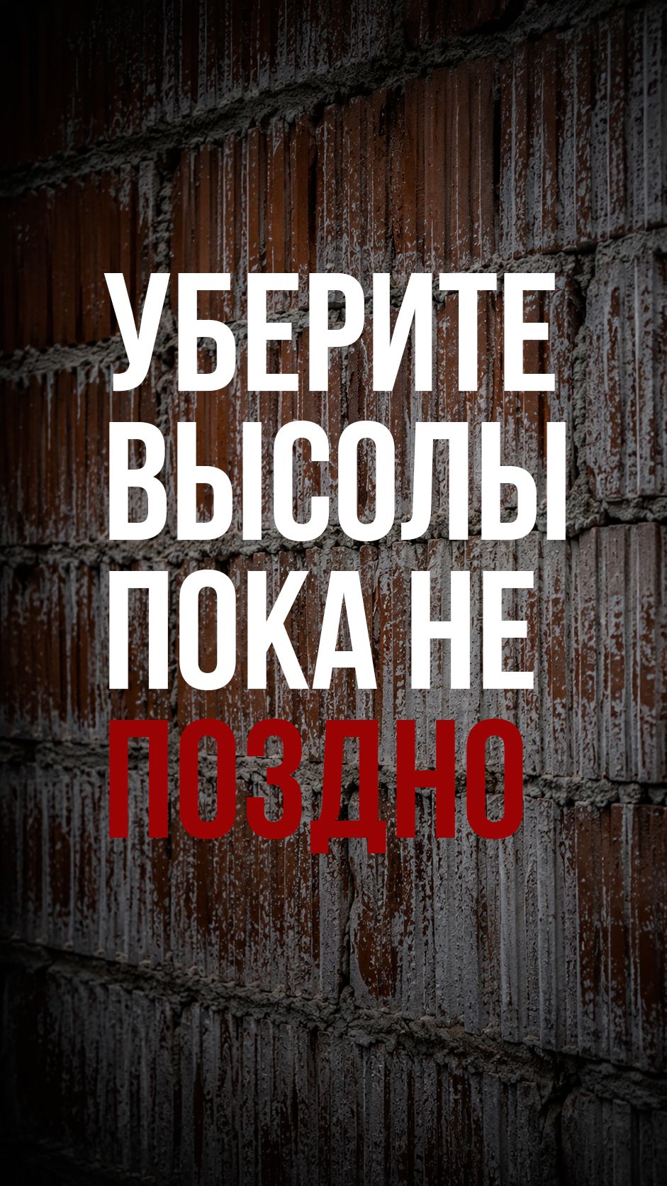 Когда высолы становятся проблемой?