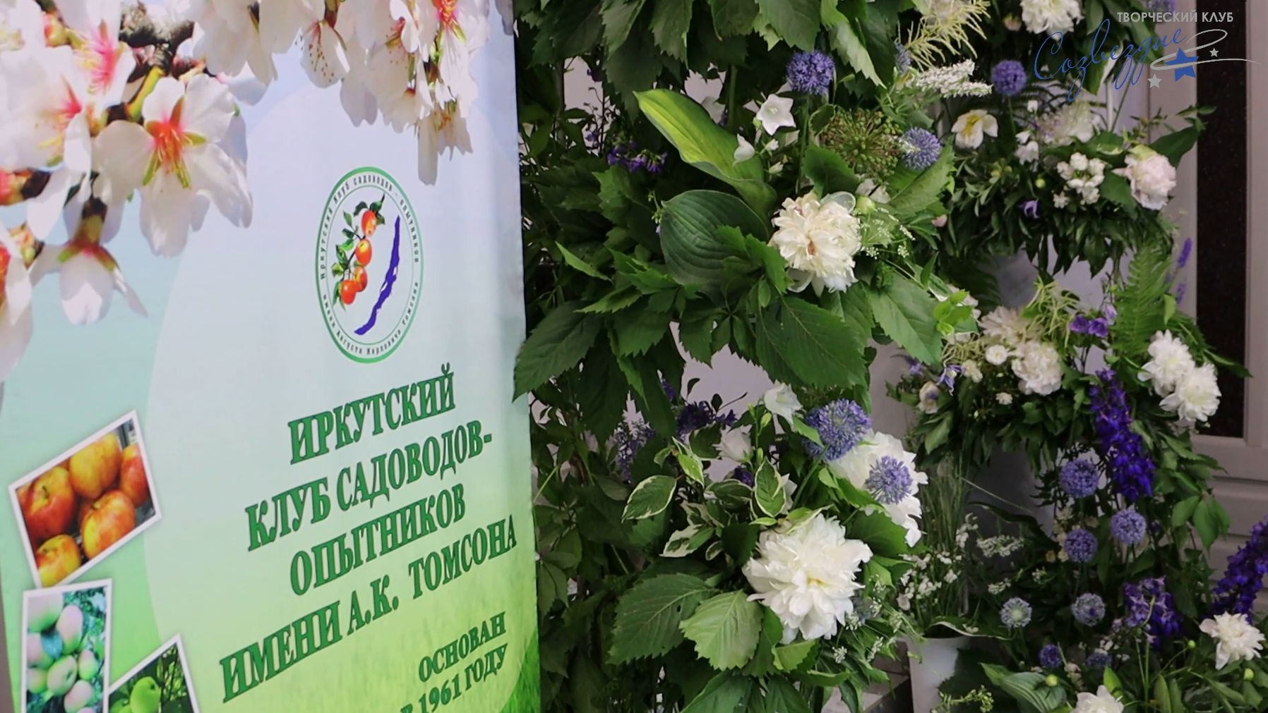 Выставки