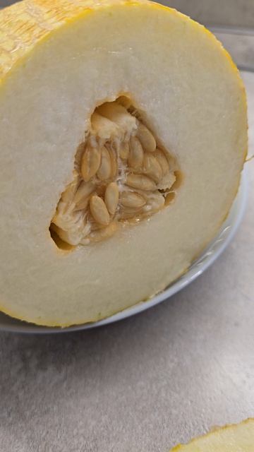 Ролики