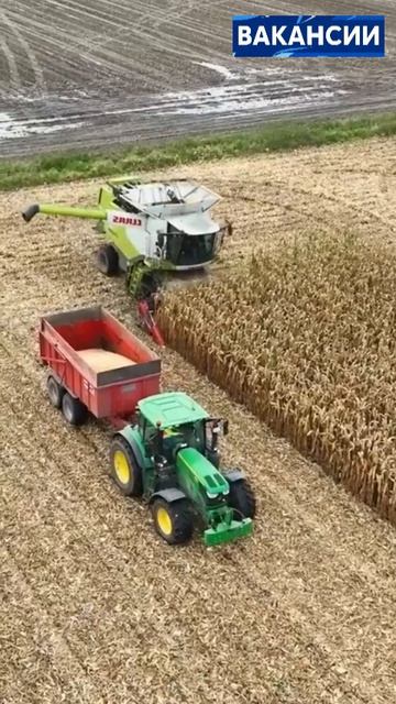 🚜🔥 Вакансии тракториста-механика #Вакансии #Работа #Подработка #Механик #Тракторист #Водитель