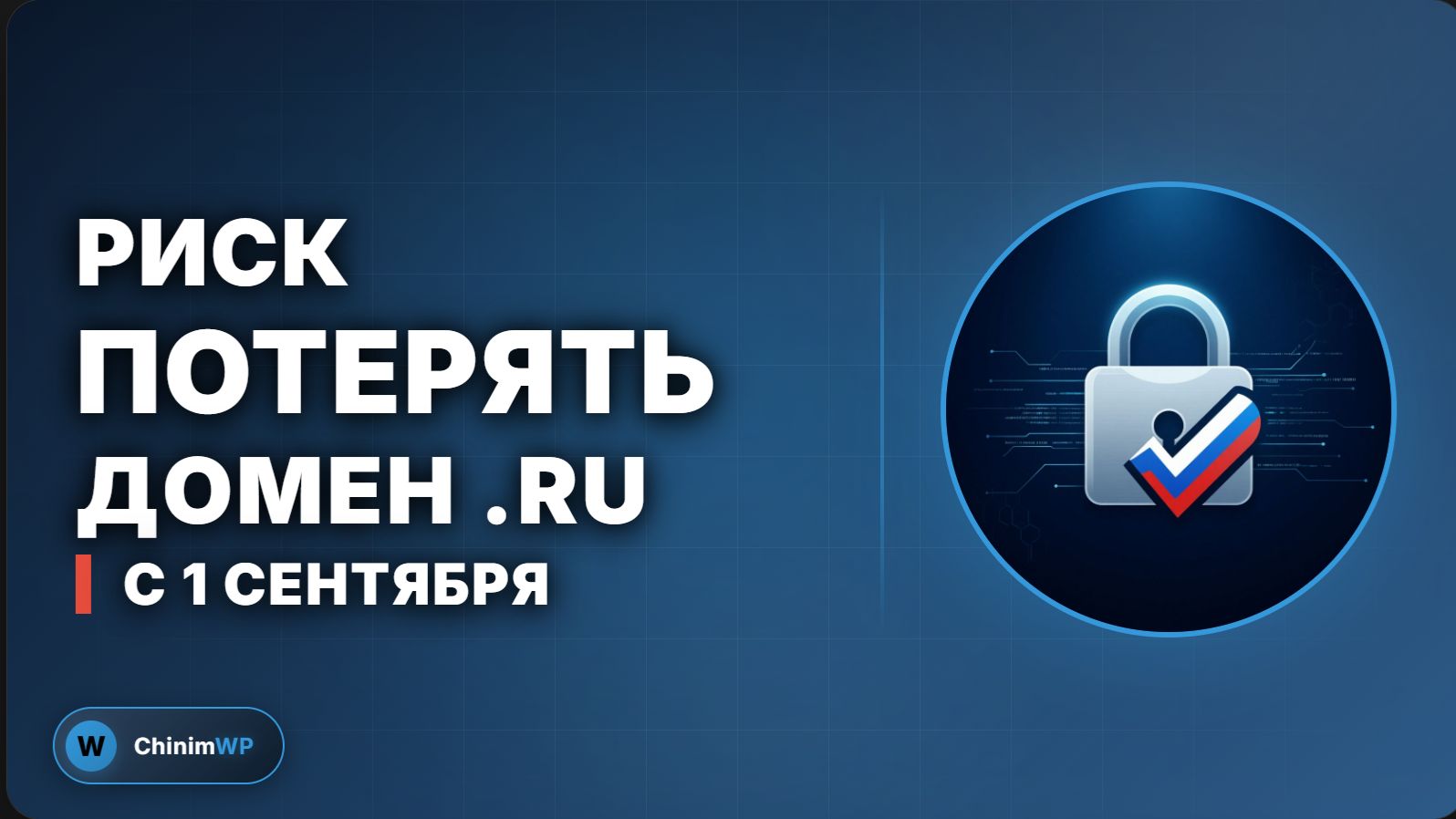 Риск потерять домен .RU? Всё о законе 563-ФЗ и верификации через Госуслуги