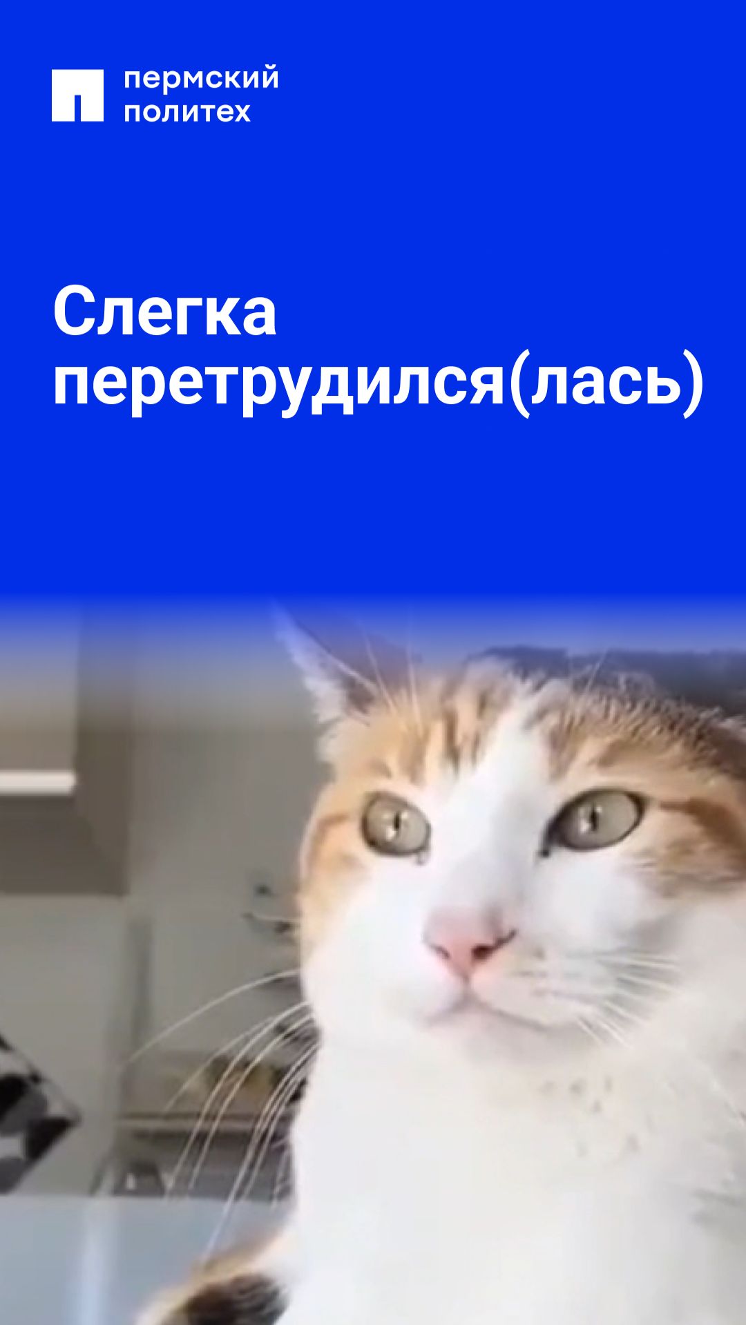 Слишком много думал(а)